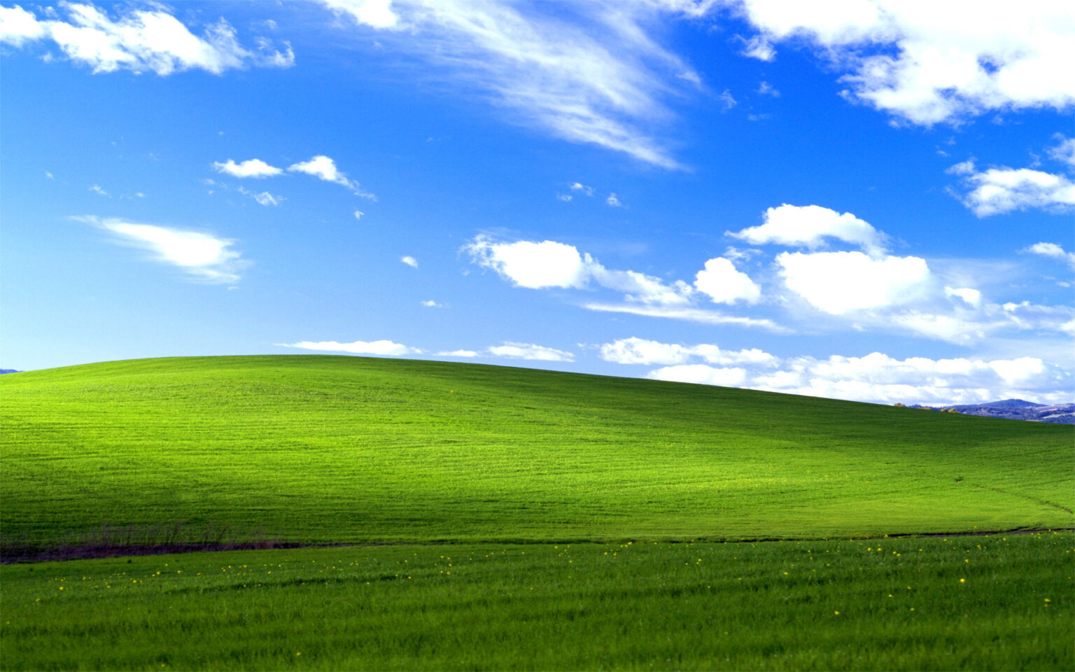 Comprehensive Guide to the 50 Most Essential Windows Commands for ...